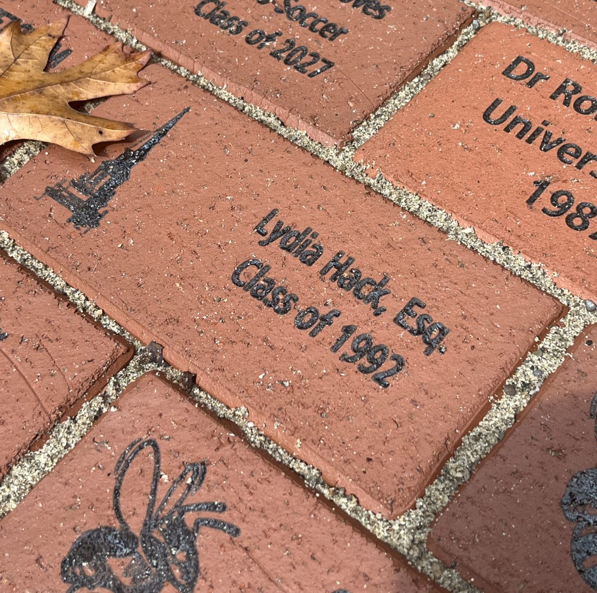 Everyday Special … | Letters for Maggie